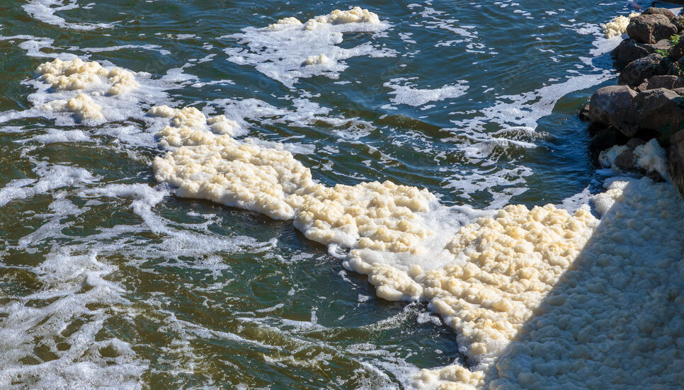 PFAS Remediation: Soil and Water - John F Hunt Regeneration